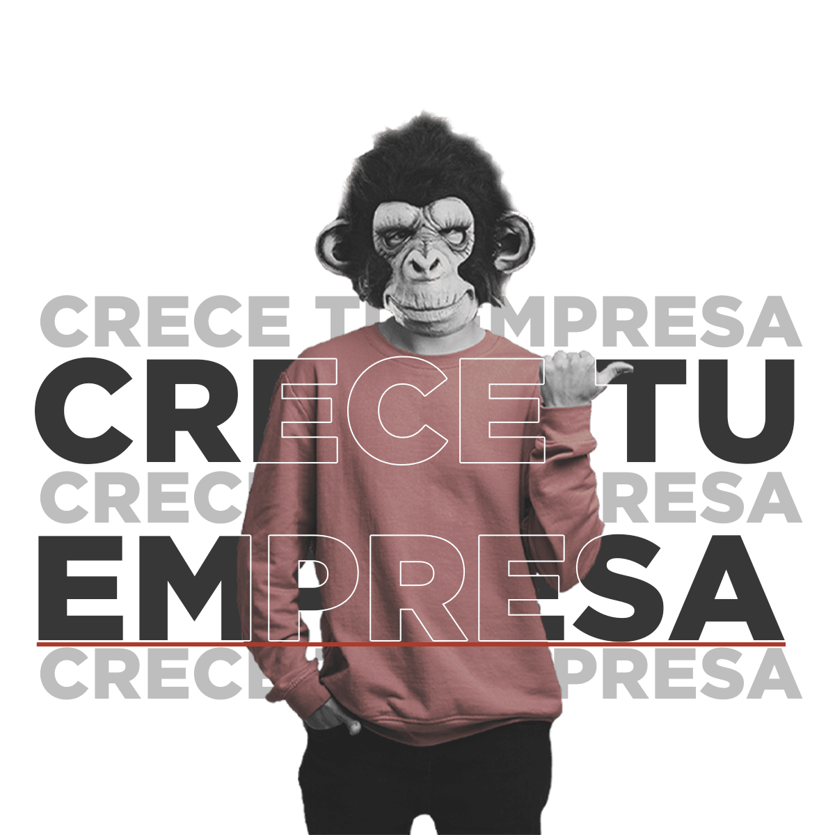 Haz Crecer tu Empresa con Nuestros Servicios Web y de Marketing Digital