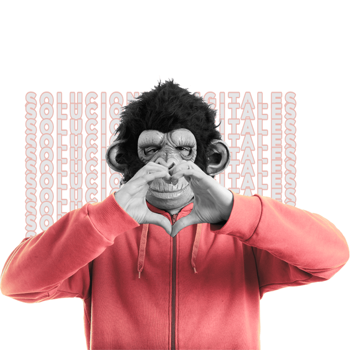 Agencia de Marketing Digital Especializada | Monkey Solutions